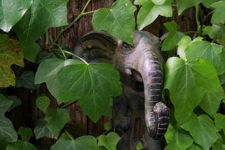 Vortex Garden in Darmstadt – mcipinska - Fairy Trails